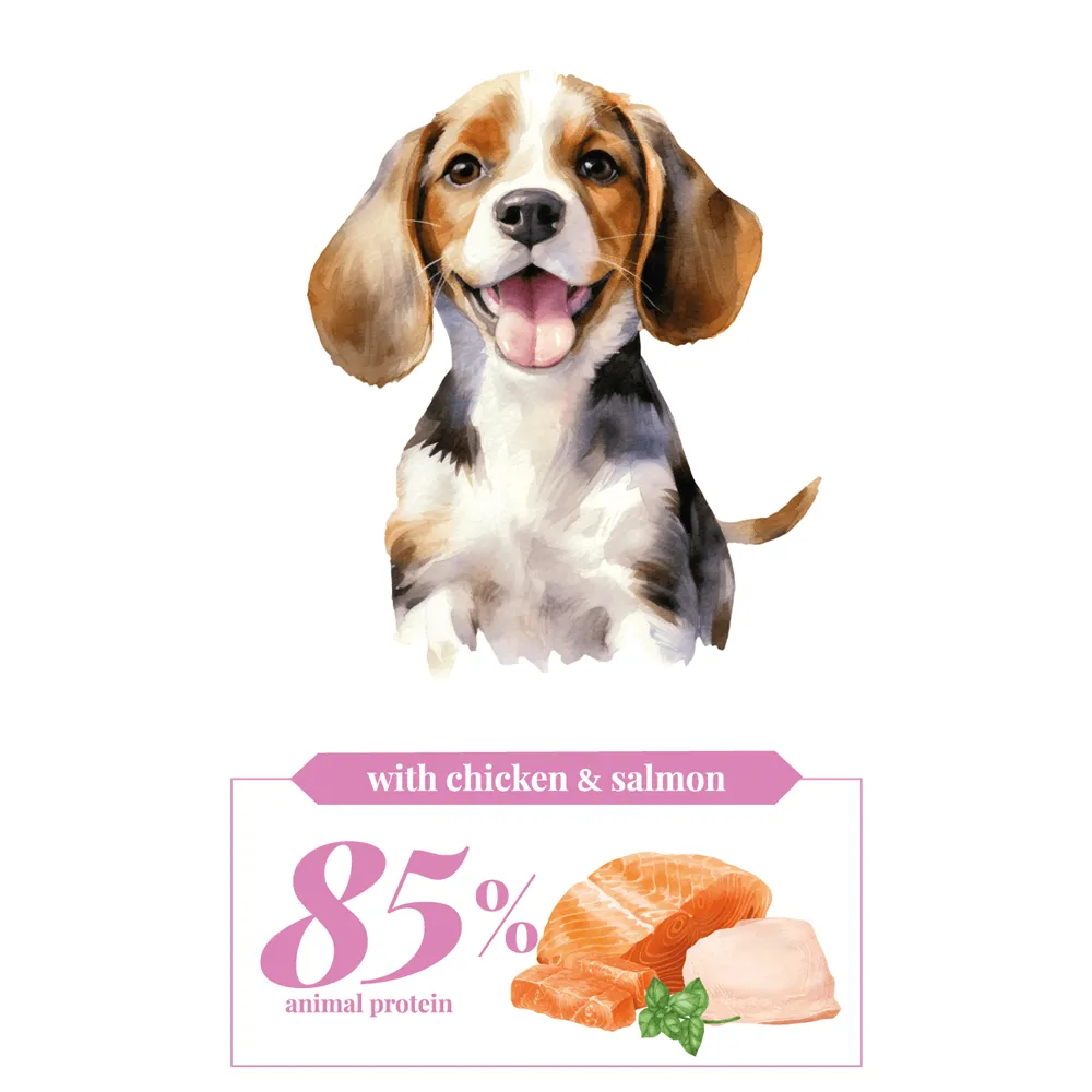 Puppy - Salmon & Chicken - Cebican Cosmo - Dog Food - 3kg – LuckyPets